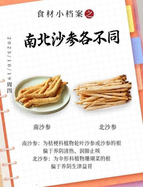 沙参的功效与作用禁忌_沙参怎么吃最好-第1张图片-山城妙识
