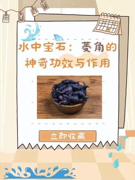 菱角的功效与作用_菱角的副作用有哪些-第1张图片-山城妙识 菱角的功效与作用_菱角的副作用有哪些-第1张图片-山城妙识