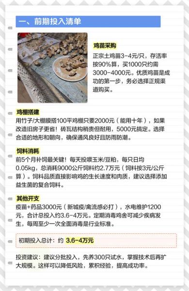 土鸡养殖成本利润_土鸡养殖一年能赚多少钱-第1张图片-山城妙识