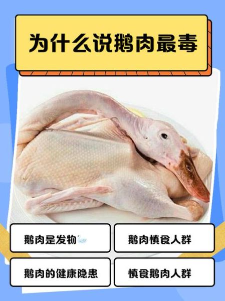 鹅肉为什么有毒_老人说鹅肉很毒是真的吗-第1张图片-山城妙识