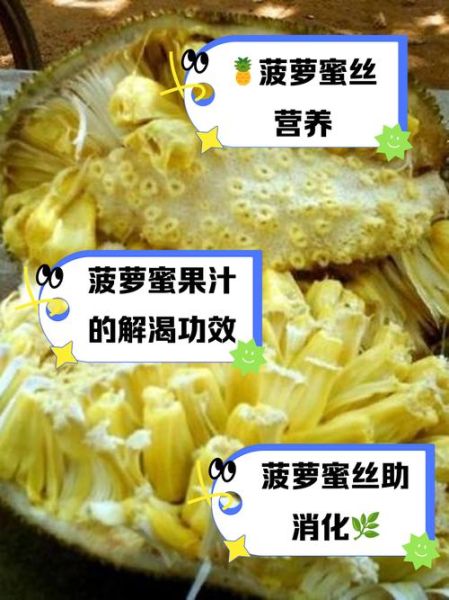 菠萝蜜里的丝丝能吃吗_怎么吃才安全-第1张图片-山城妙识