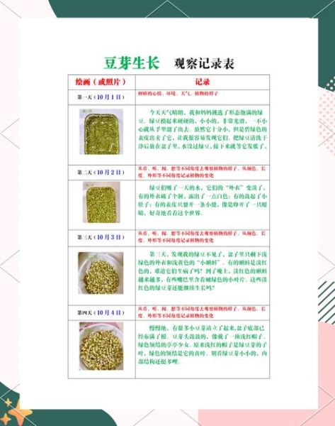 绿豆发芽需要几天_如何正确记录绿豆观察日记-第1张图片-山城妙识