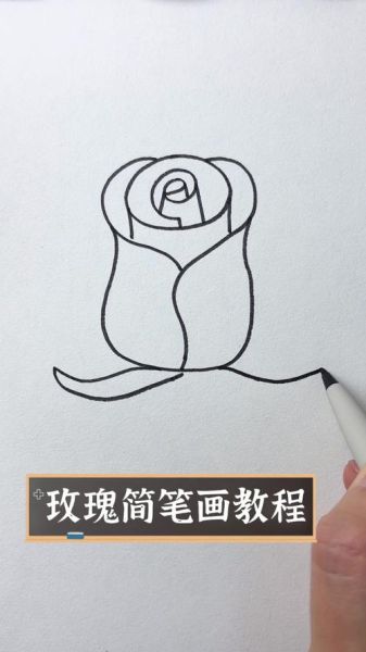 玫瑰花怎么画简单好看_零基础也能学会的玫瑰画法-第2张图片-山城妙识