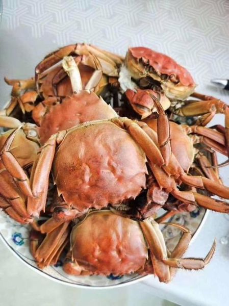 黄河口大闸蟹批发市场在哪_价格行情如何-第1张图片-山城妙识