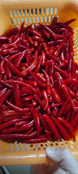 小米辣酱怎么做_家庭自制小米辣酱步骤-第3张图片-山城妙识 小米辣酱怎么做_家庭自制小米辣酱步骤-第3张图片-山城妙识