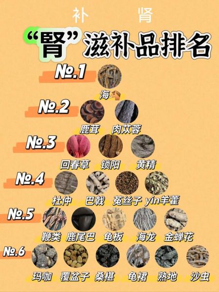 男人大补的食物有哪些_男人肾虚吃什么补得快-第3张图片-山城妙识