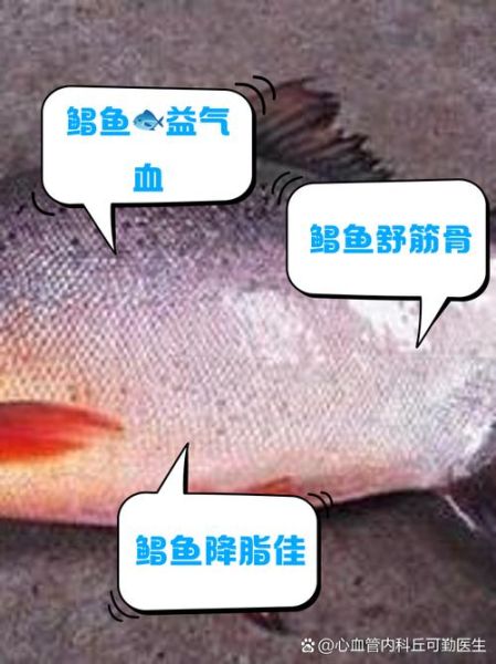 红鲳鱼的营养价值及功效_红鲳鱼适合什么人吃-第1张图片-山城妙识