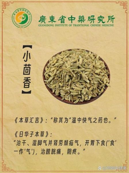 小茴香泡水喝的功效与禁忌_小茴香泡水能天天喝吗-第3张图片-山城妙识
