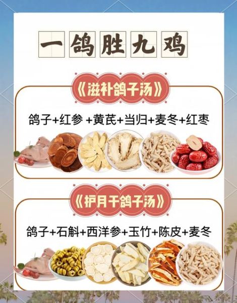 怎么炖鸽子汤最有营养_鸽子汤放什么药材最补-第2张图片-山城妙识