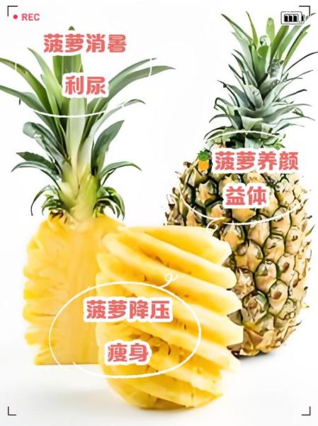 番菠萝的功效与作用_番菠萝怎么吃才健康-第3张图片-山城妙识