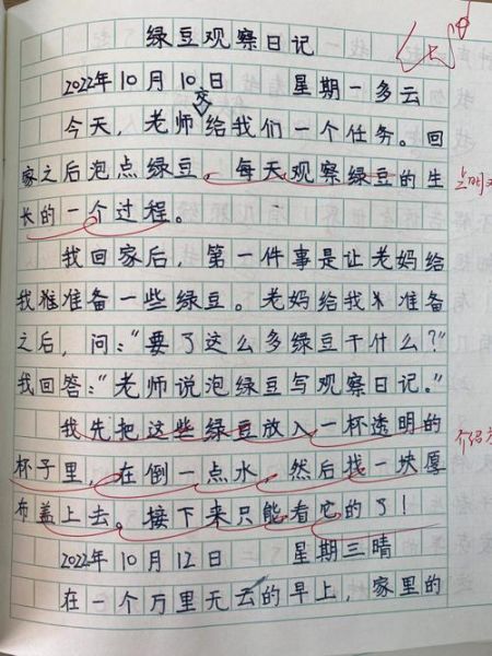 豆芽的生长过程_观察日记怎么写400字-第2张图片-山城妙识