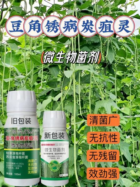 豇豆锈病用什么药最好_豇豆锈病特效药有哪些-第2张图片-山城妙识