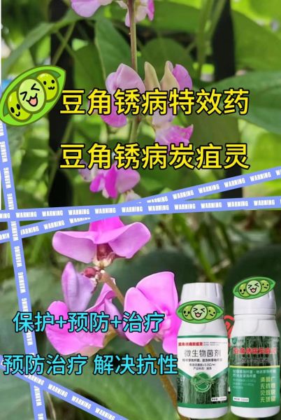 豇豆锈病用什么药最好_豇豆锈病特效药有哪些-第3张图片-山城妙识