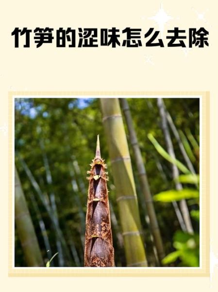新鲜竹笋怎么处理_竹笋去涩最快的方法-第3张图片-山城妙识