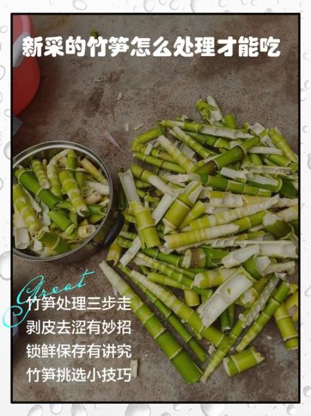 新鲜竹笋怎么处理_竹笋去涩最快的方法-第2张图片-山城妙识