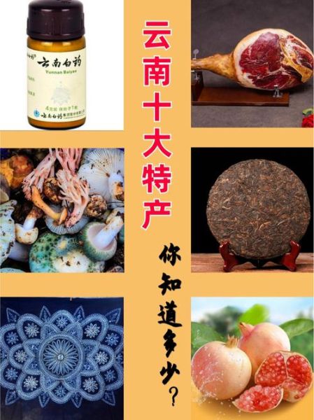 云南好吃的土特产有哪些_云南土特产推荐-第1张图片-山城妙识