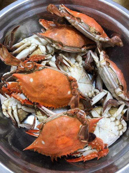 怎么蒸螃蟹不腥_蒸螃蟹的正确步骤窍门-第2张图片-山城妙识