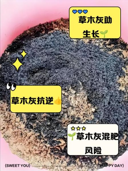 草木灰的主要成分是什么_草木灰对植物的作用-第2张图片-山城妙识 草木灰的主要成分是什么_草木灰对植物的作用-第2张图片-山城妙识