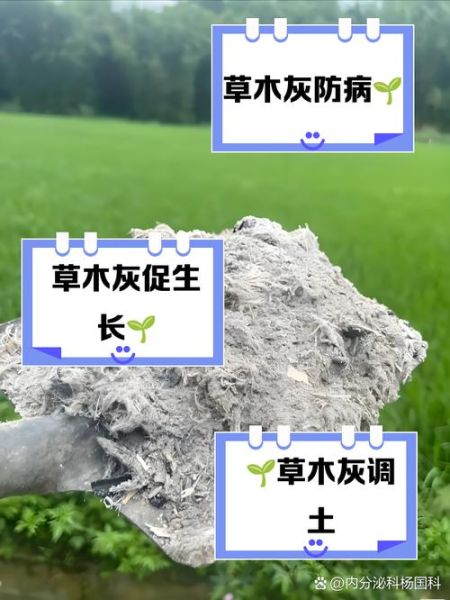 草木灰的主要成分是什么_草木灰对植物的作用-第3张图片-山城妙识 草木灰的主要成分是什么_草木灰对植物的作用-第3张图片-山城妙识