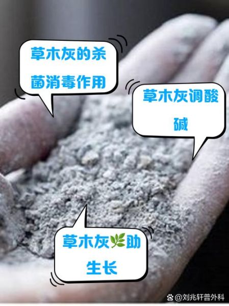 草木灰的主要成分是什么_草木灰对植物的作用-第1张图片-山城妙识 草木灰的主要成分是什么_草木灰对植物的作用-第1张图片-山城妙识