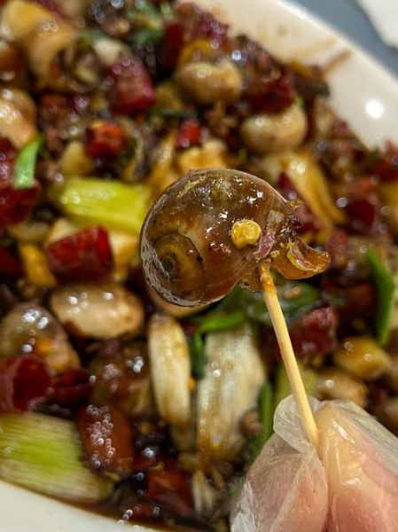 酱爆海螺怎么做_酱爆海螺的家常做法-第1张图片-山城妙识