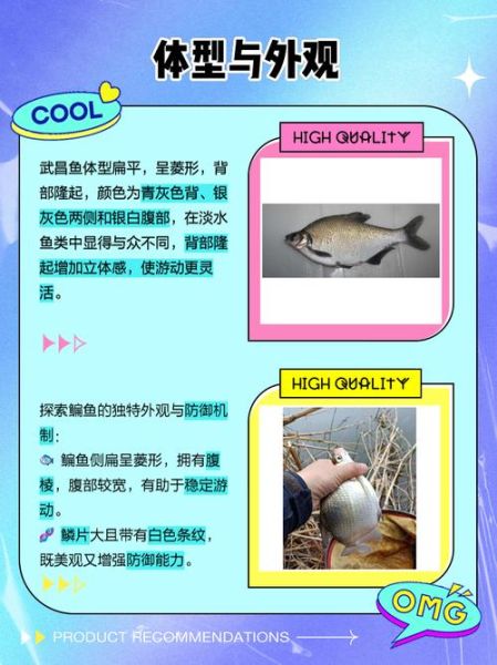 鳊鱼和武昌鱼是一种鱼吗_武昌鱼与鳊鱼的区别-第2张图片-山城妙识