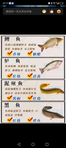 鳊鱼和武昌鱼是一种鱼吗_武昌鱼与鳊鱼的区别-第3张图片-山城妙识