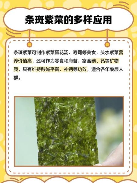 条斑紫菜怎么挑选_条斑紫菜营养价值高吗-第1张图片-山城妙识 条斑紫菜怎么挑选_条斑紫菜营养价值高吗-第1张图片-山城妙识