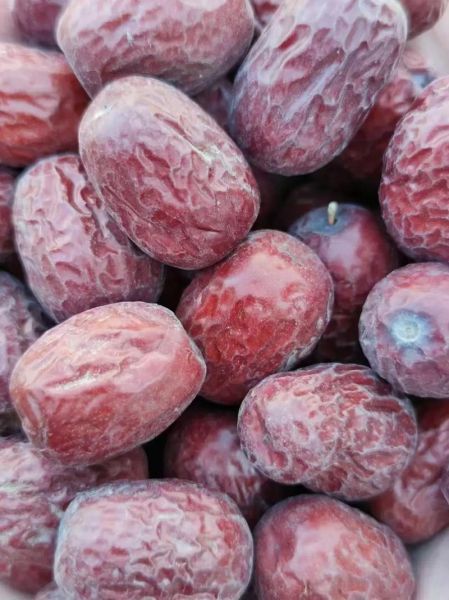 灰枣为什么不建议直接吃_灰枣吃前怎么处理-第1张图片-山城妙识