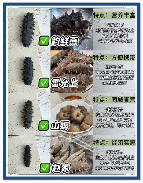 干海参怎么挑选_干海参怎么辨别好坏-第3张图片-山城妙识