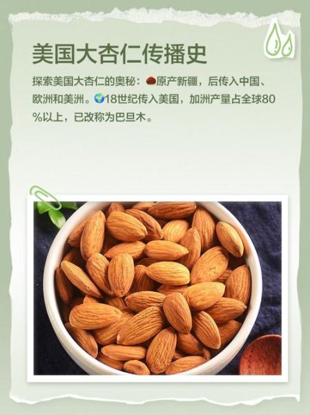 美国大杏仁的功效与作用_美国大杏仁的禁忌-第1张图片-山城妙识