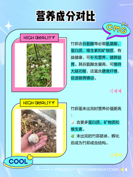 竹荪蛋怎么吃_竹荪蛋和竹荪的区别-第1张图片-山城妙识 竹荪蛋怎么吃_竹荪蛋和竹荪的区别-第1张图片-山城妙识