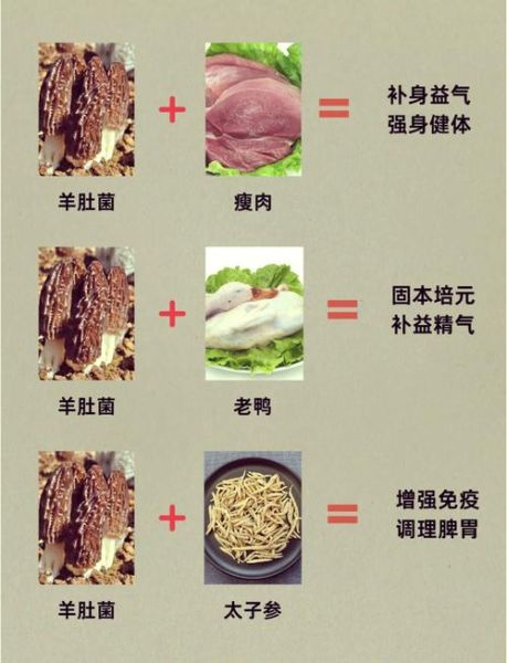 羊肚菌怎么种植_羊肚菌栽培技术要点-第3张图片-山城妙识