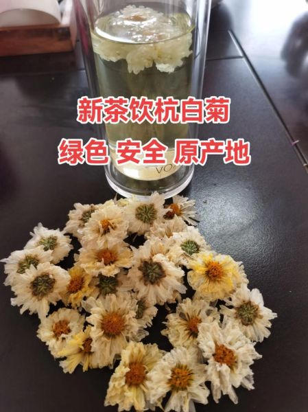 杭白菊花的功效与作用_杭白菊怎么喝最养肝明目-第1张图片-山城妙识