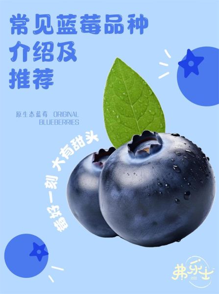 蓝莓品种介绍大全_蓝莓品种怎么选-第3张图片-山城妙识