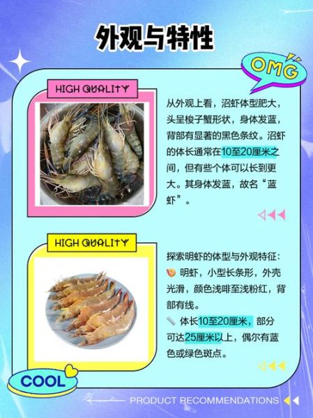 基围虾怎么保存_基围虾和明虾的区别-第3张图片-山城妙识