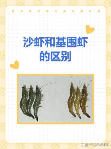 基围虾怎么保存_基围虾和明虾的区别-第2张图片-山城妙识