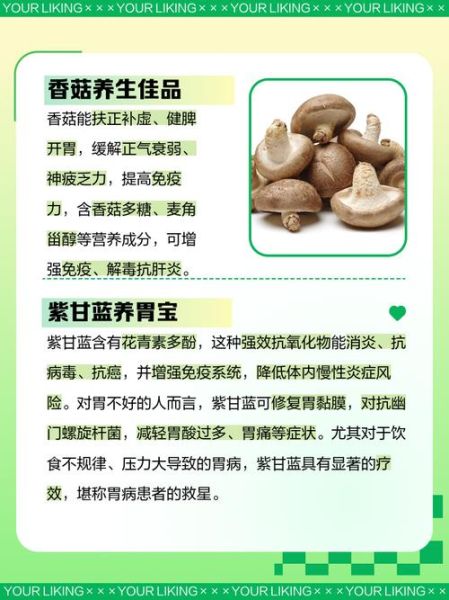 胃疼吃什么食物比较好_胃疼吃什么食物好得快-第2张图片-山城妙识