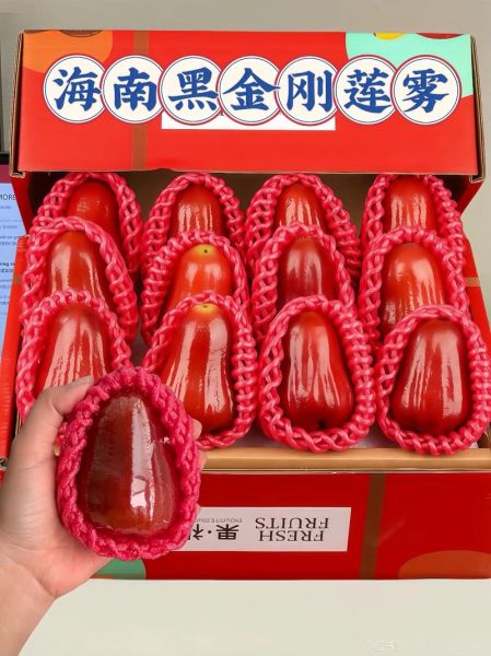 海南莲雾多少钱一斤_莲雾价格受哪些因素影响-第3张图片-山城妙识