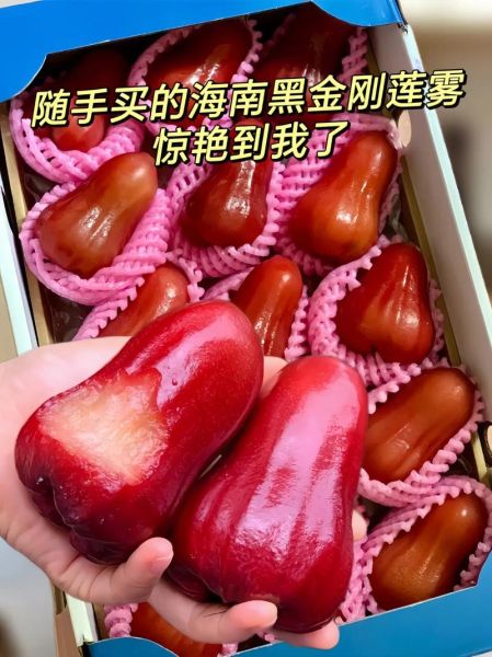 海南莲雾多少钱一斤_莲雾价格受哪些因素影响-第1张图片-山城妙识