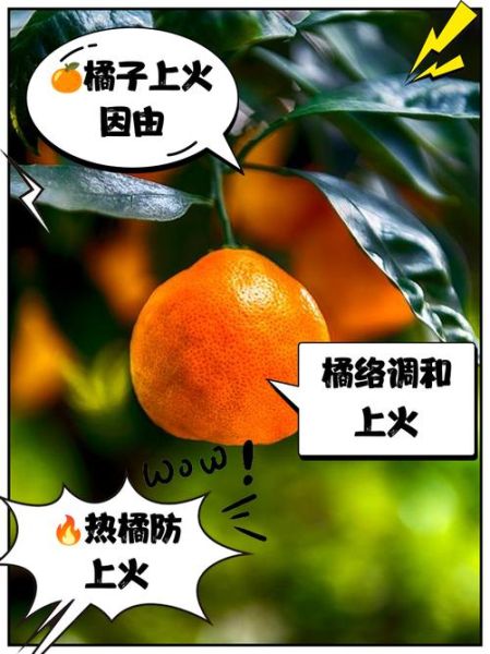 一天一个橘子上火吗_橘子吃多了会上火吗-第1张图片-山城妙识 一天一个橘子上火吗_橘子吃多了会上火吗-第1张图片-山城妙识