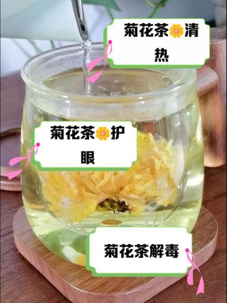 菊花泡水喝的功效与作用_菊花有哪些禁忌-第1张图片-山城妙识 菊花泡水喝的功效与作用_菊花有哪些禁忌-第1张图片-山城妙识