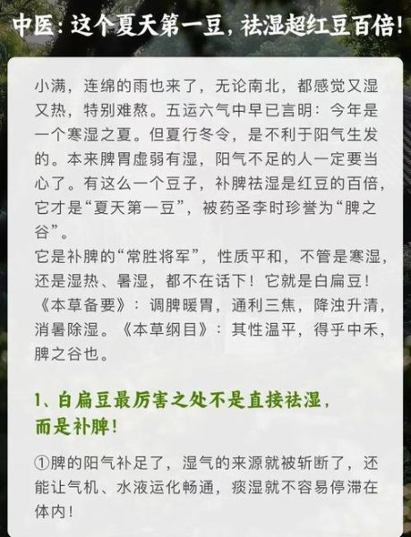 白扁豆煲汤的做法_白扁豆煲汤的功效与禁忌-第3张图片-山城妙识