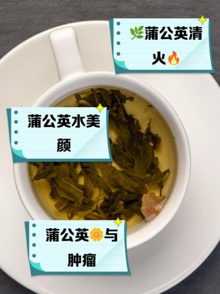 蒲公英泡水喝的功效与禁忌_哪些人不能喝-第3张图片-山城妙识 蒲公英泡水喝的功效与禁忌_哪些人不能喝-第3张图片-山城妙识