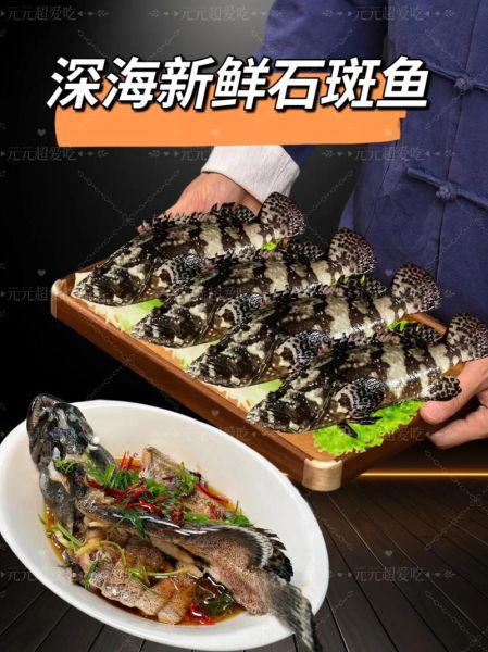 深海石斑鱼怎么做好吃_清蒸深海石斑鱼做法-第3张图片-山城妙识