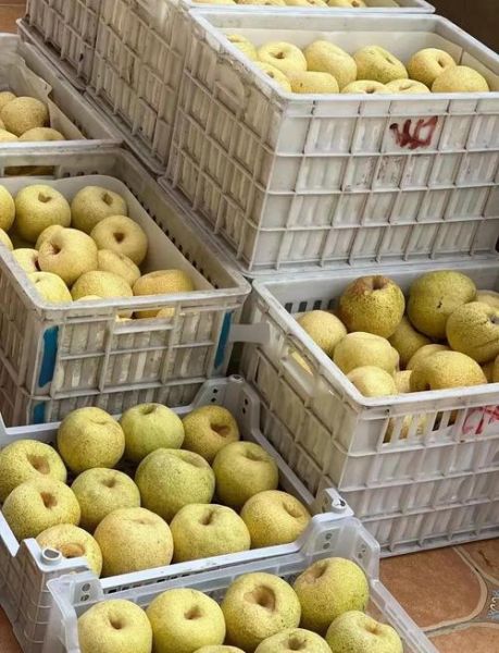 雪梨膏的做法_雪梨膏的功效与禁忌-第3张图片-山城妙识