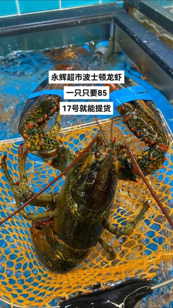 波士顿龙虾多少钱一斤2020_2020年波士顿龙虾价格走势-第2张图片-山城妙识