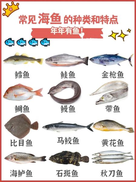 海鱼种类大全_海鱼名称对照图怎么用-第3张图片-山城妙识 海鱼种类大全_海鱼名称对照图怎么用-第3张图片-山城妙识