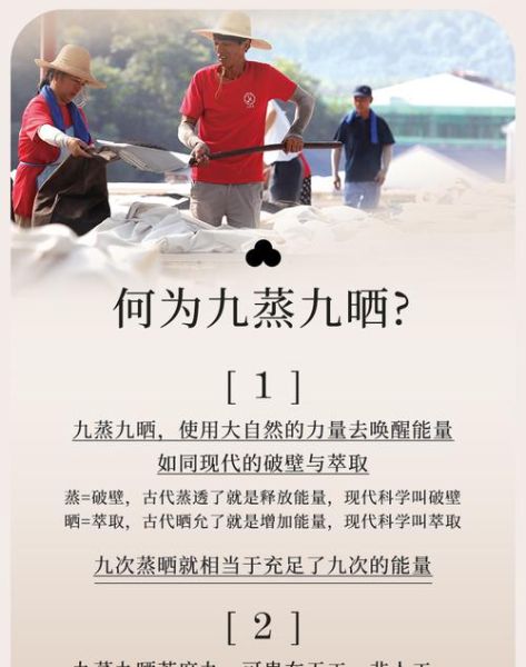 九蒸九晒黑芝麻丸的功效与作用_适合哪些人群-第1张图片-山城妙识