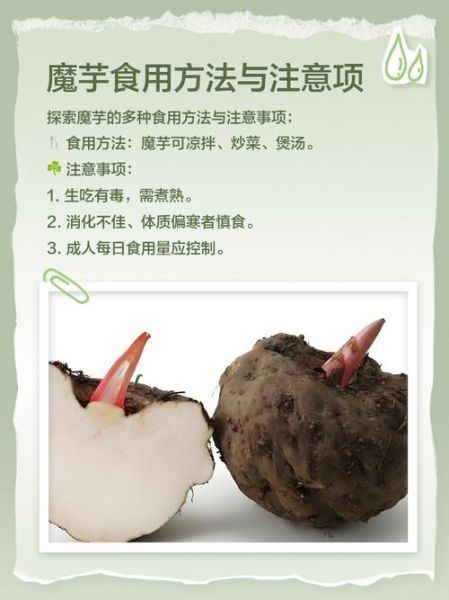 魔芋是什么_魔芋的功效与作用-第2张图片-山城妙识